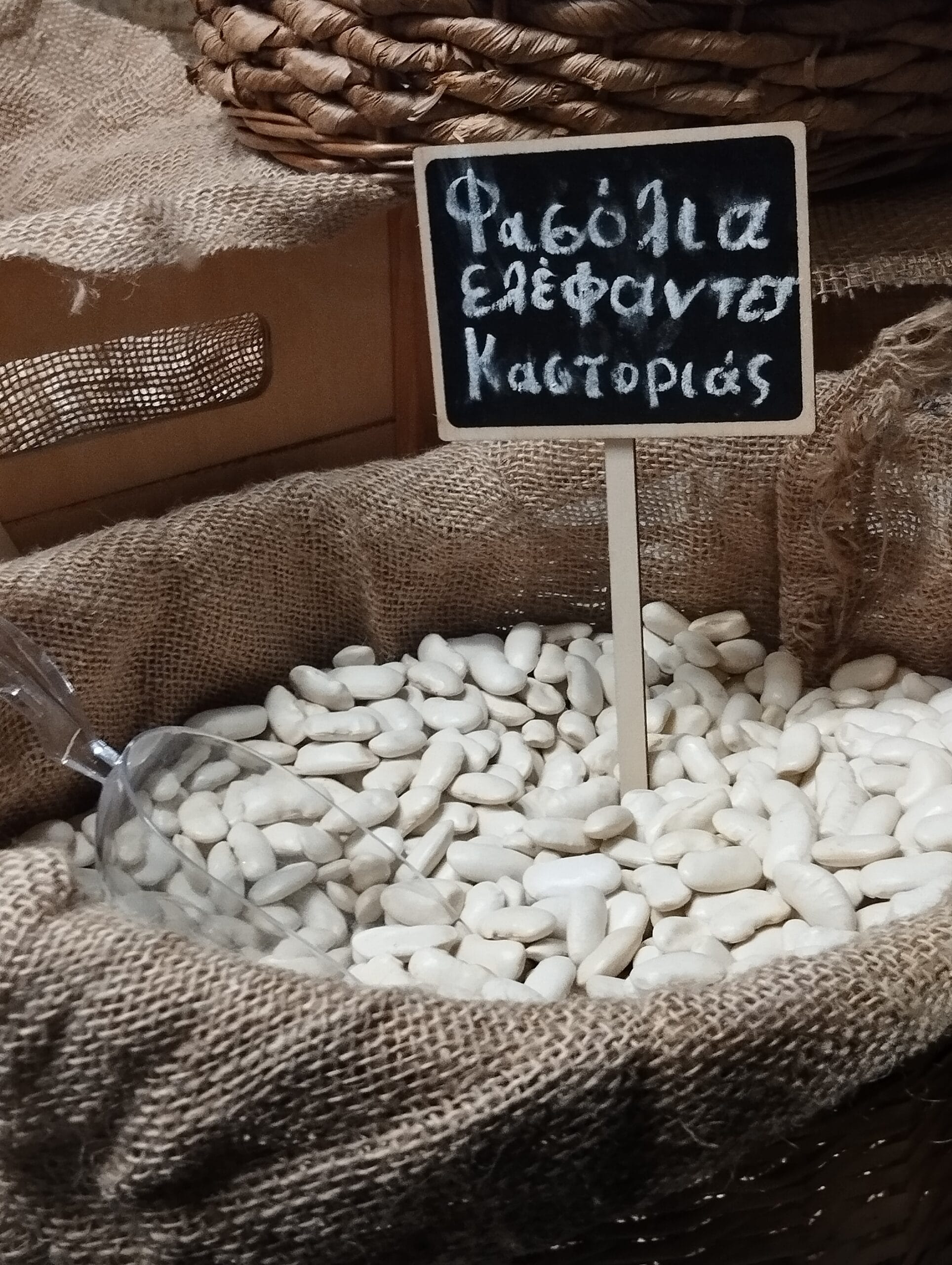 ΦΑΣΟΛΙΑ ΧΥΜΑ ΕΛΕΦΑΝΤΕΣ ΚΑΣΤΟΡΙΑΣ ΝΕΑΣ ΕΣΟΔΕΙΑΣ