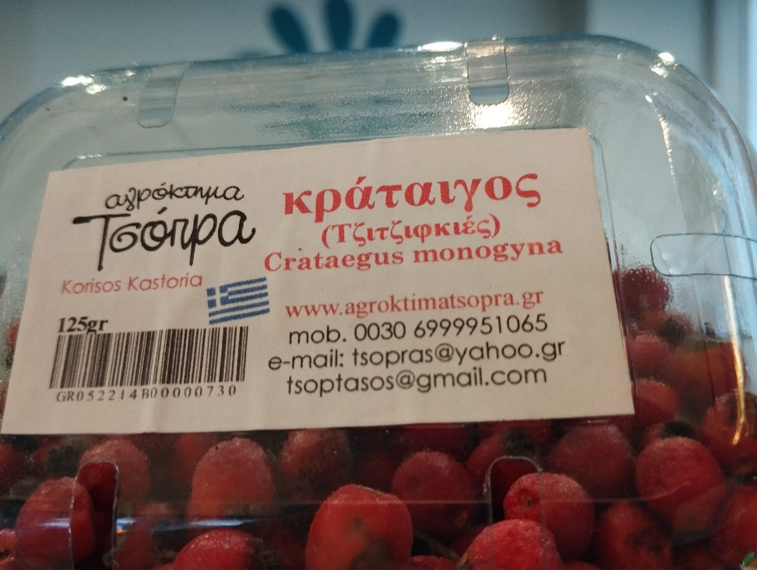 ΚΡΑΤΑΙΓΟΣ ΚΑΤΕΨΥΓΜΕΝΟΣ